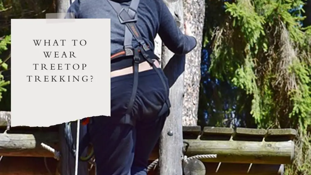 What to Wear Treetop Trekking? Dressing for Adventure - Outdoor Doer