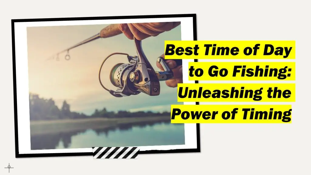Best Time of Day to Go Fishing: Unleashing the Power of Timing ...