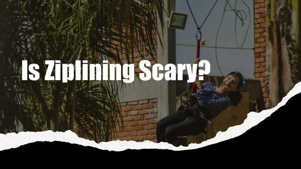 Is Ziplining Scary? Conquering Your Fear - Outdoor Doer
