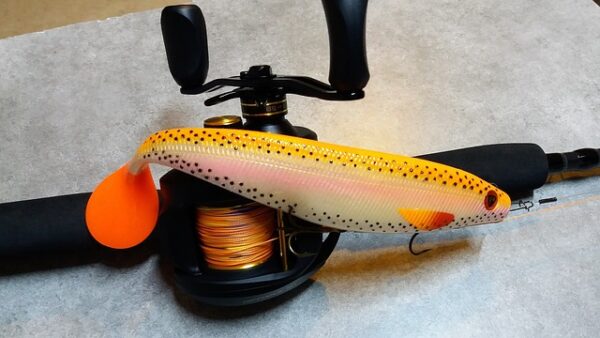 Are Fish Color Blind? From Myth to Reality - Outdoor Doer