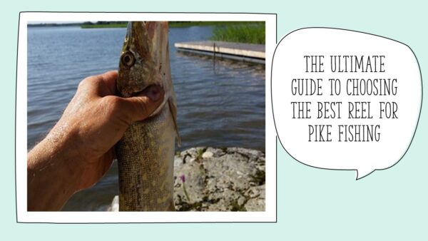 The Ultimate Guide to Choosing the Best Reel for Pike Fishing - Outdoor ...