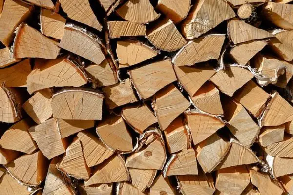 Is Elm Good Firewood? A Comprehensive Guide to Burning Elm Logs ...