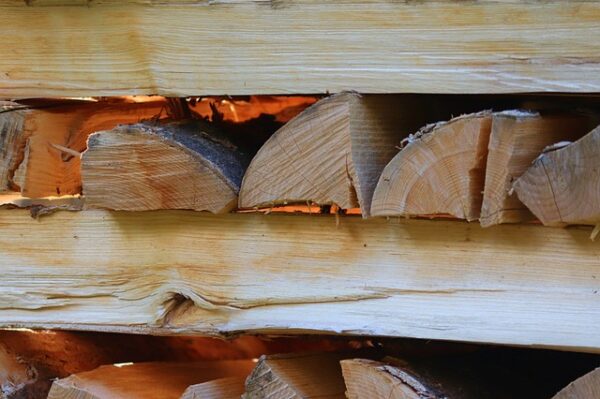 Is Poplar Good Firewood? Pros, Cons, and Burning Characteristics ...